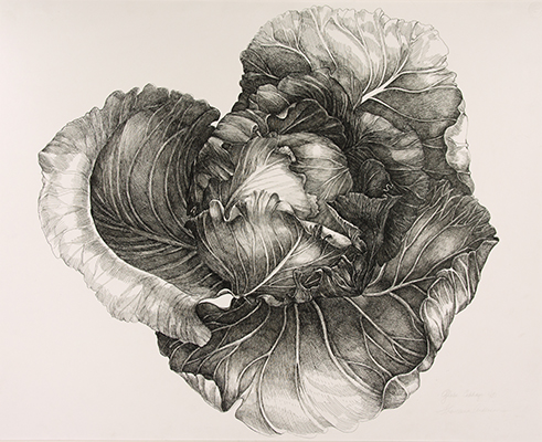 Anderson | Hunt Institute for Botanical Documentation