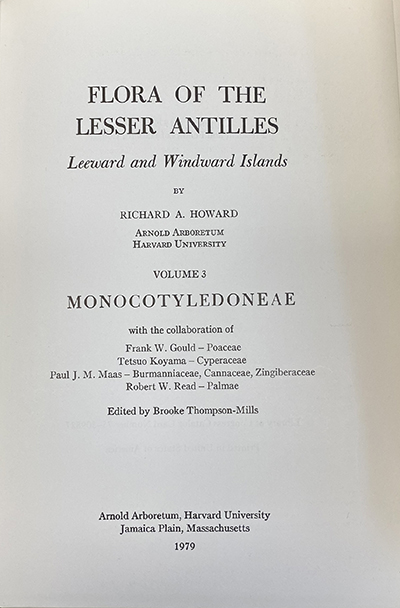 Palm drawings by Alice Ruth Tangerini | Hunt Institute for Botanical ...