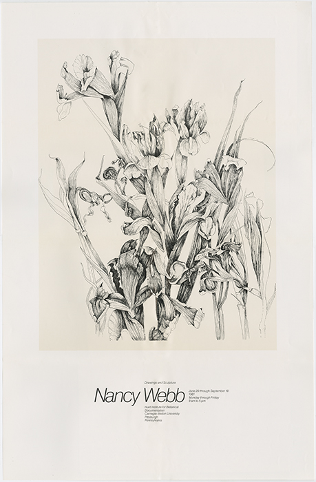 Drawings and Bronze Sculptures by Nancy Webb | Hunt Institute for ...